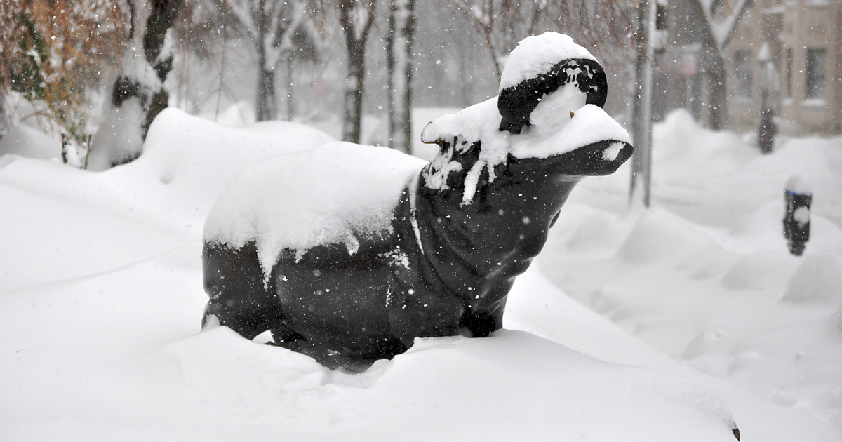 Chill out this summer with a Snowpocalypse - Jasonian Photography